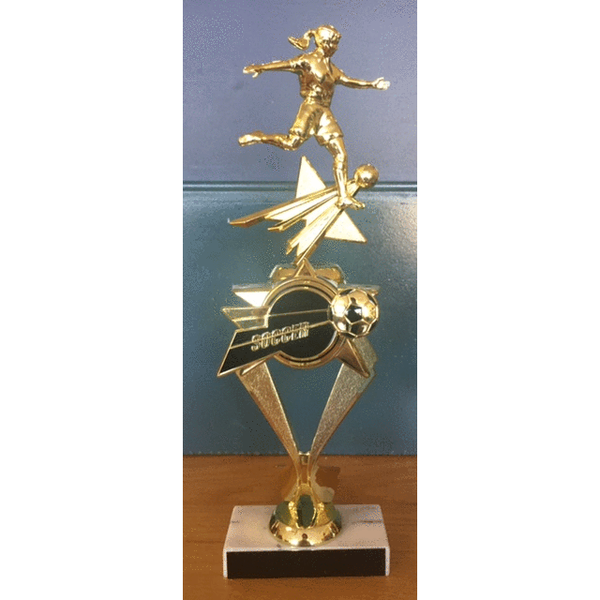 Bullseye Soccer Trophy - The Awards Shop